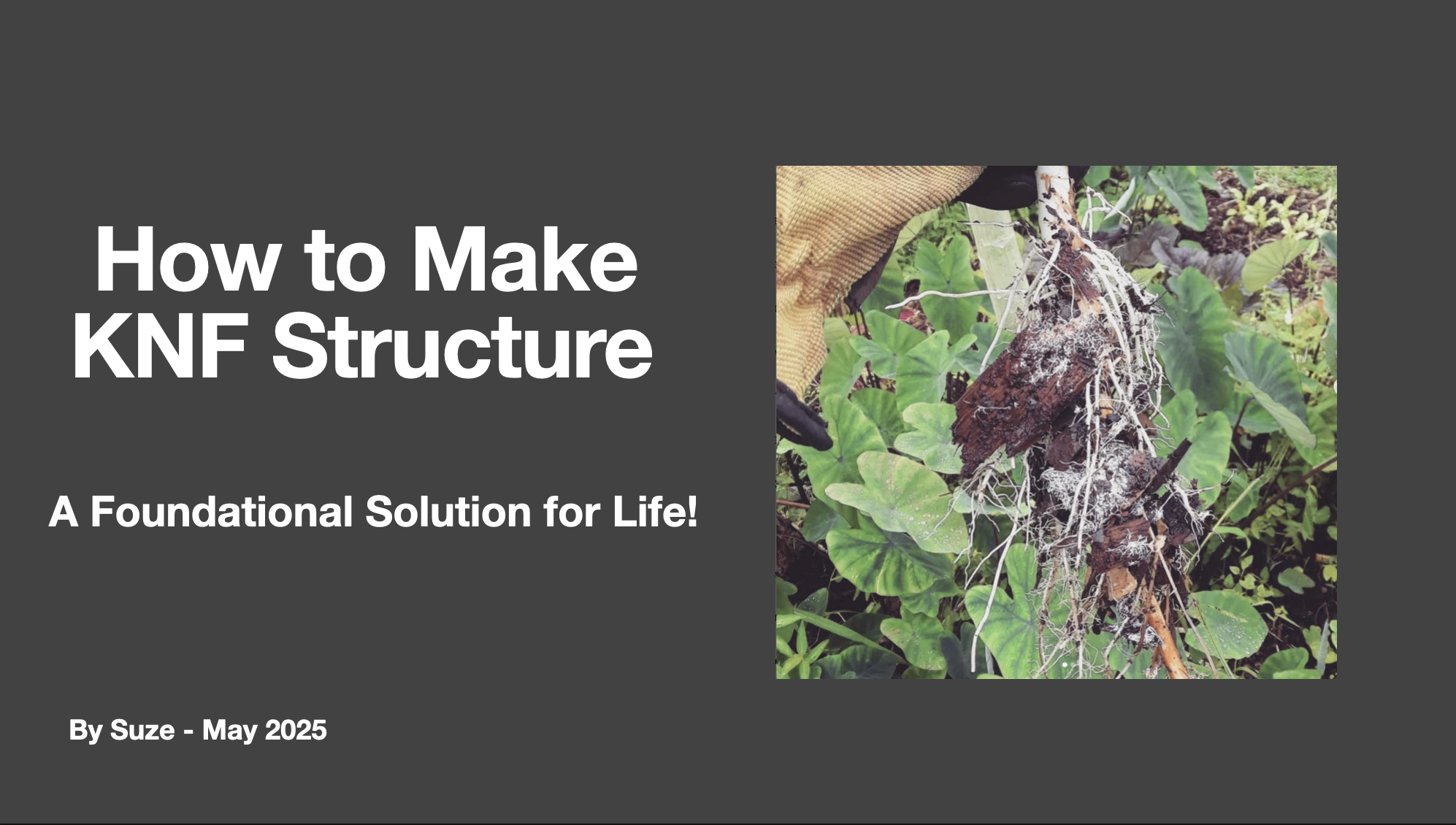 May 2025 - Success with KNF Structure - Pure KNF Foundation